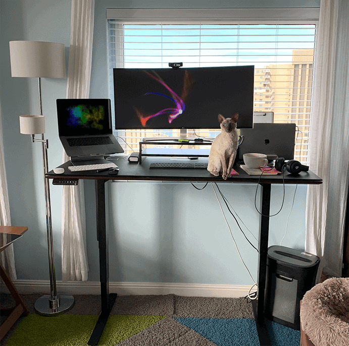 Silverline Office Tour: Remote Edition! - Silverline