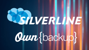 Silverline: Salesforce Partner that drives change